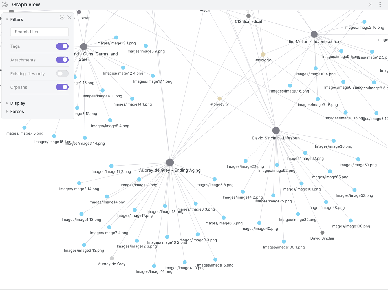 Display headings and blocks in graph view - Feature requests - Obsidian ...
