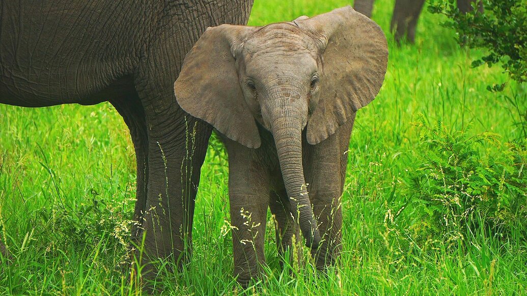 Moving to evergreen notes - Share & showcase - Obsidian Forum