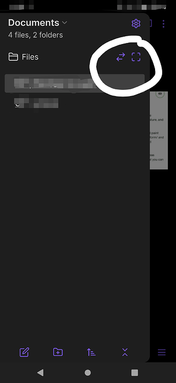 File explorer in full screen by default - Help - Obsidian Forum