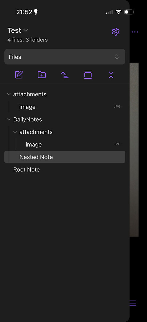 Taking a photo directly into a note with Relative Path enabled - Bug ...