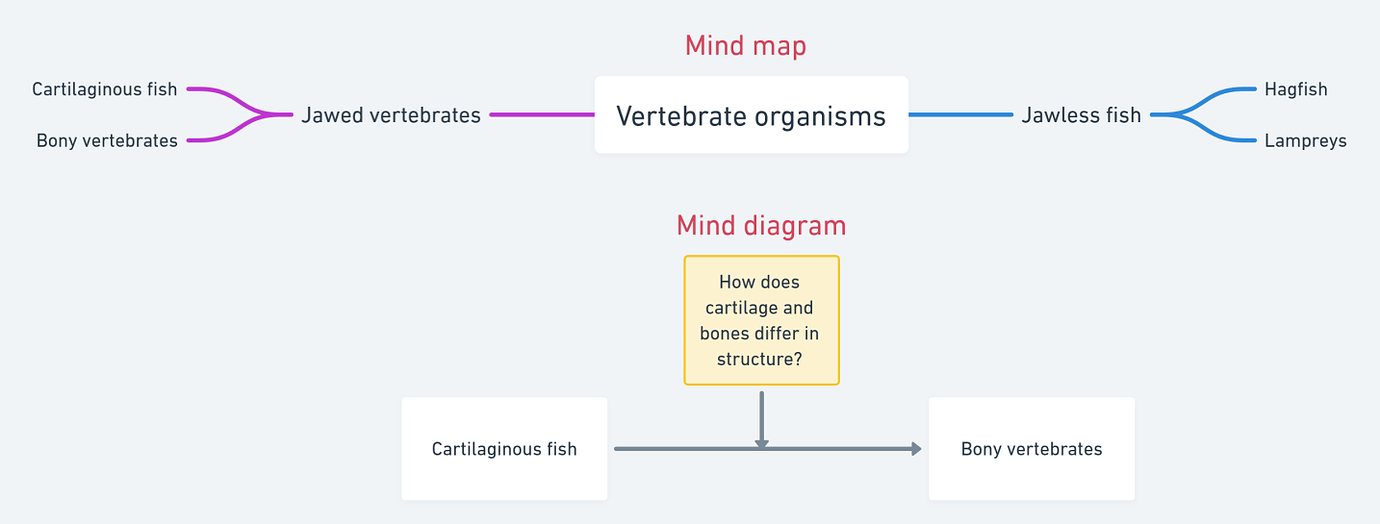 Two basic designs for a PKM library: mind maps vs. mind diagrams ...