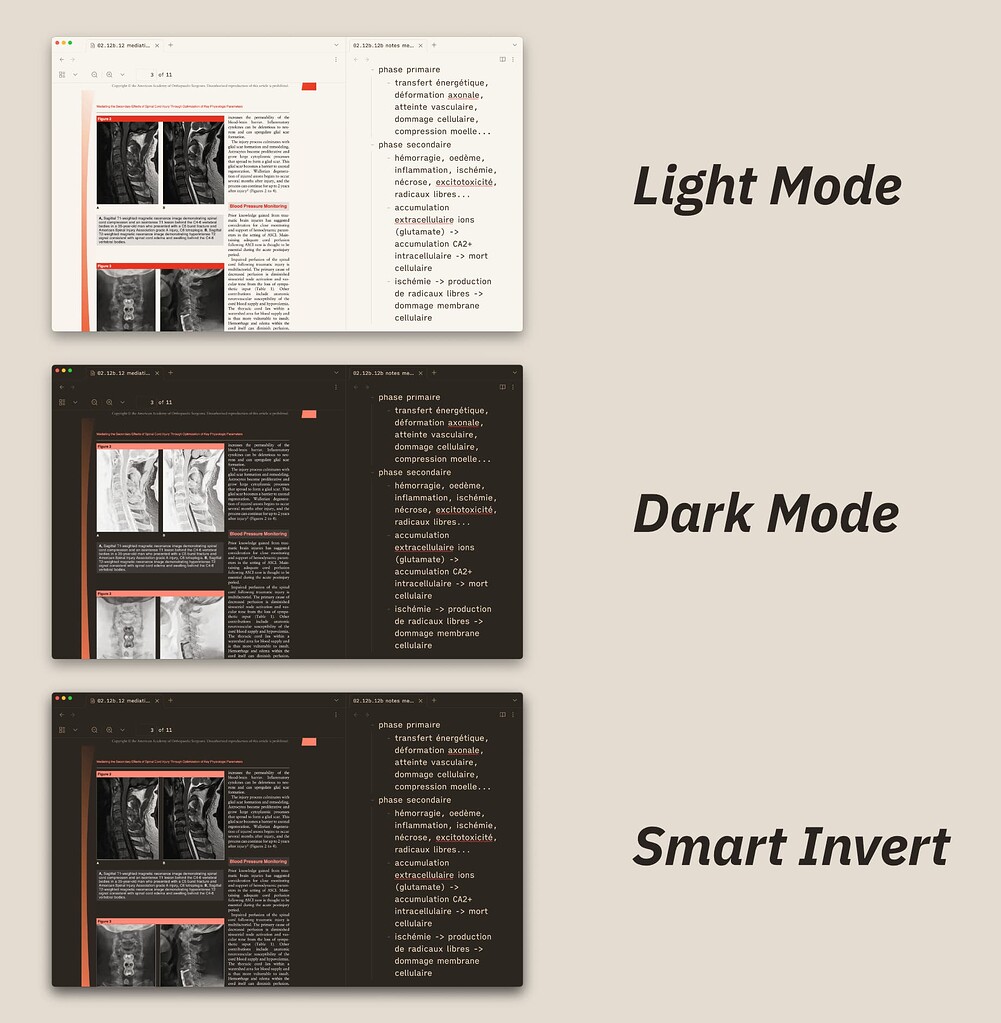 PDF Smart Invert - Don't invert pictures while in Dark Mode - Feature archive - Obsidian Forum