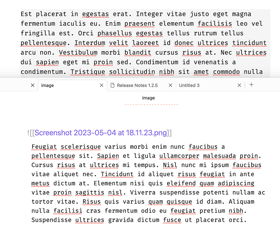 Pasted images appear too big (Windows 11) - Help - Obsidian Forum