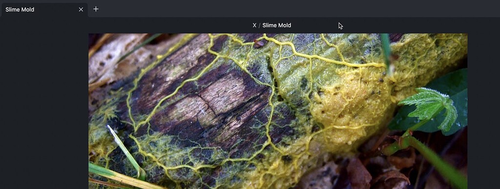 Making the tab title bar transparent - Custom CSS & Theme Design ...