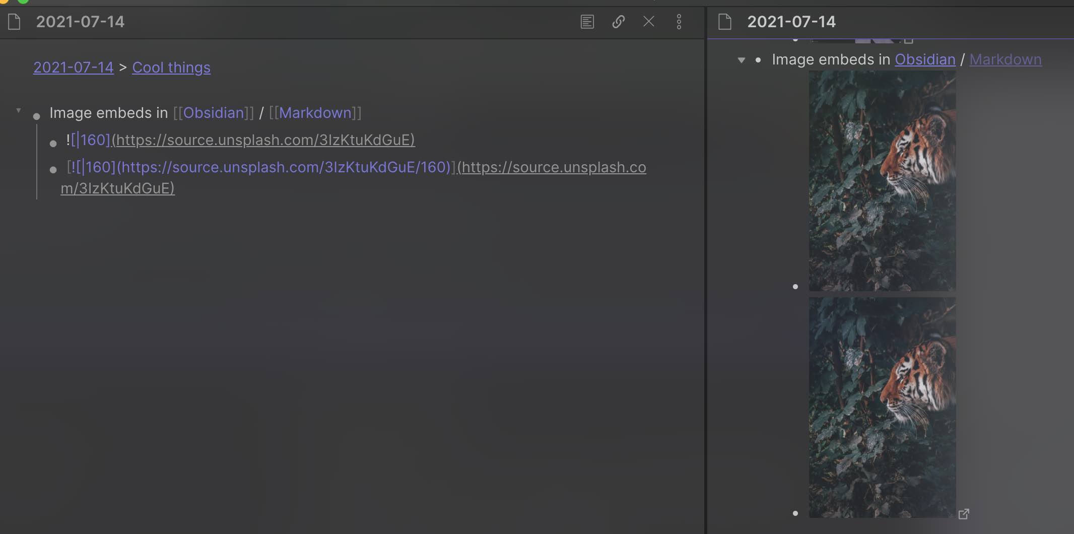 Link To And Embed An Image Help Obsidian Forum