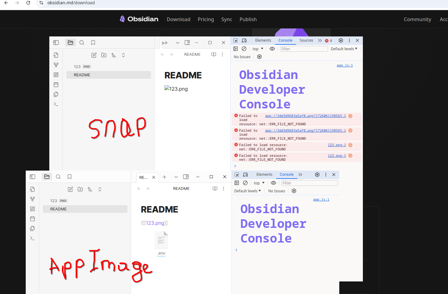 Pictures are not inserted - Bug graveyard - Obsidian Forum